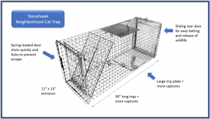 Best Humane Cat Traps - Lost Pet Research and Recovery