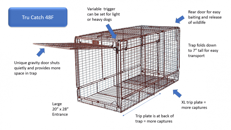 Best Humane Dog Traps - Lost Pet Research and Recovery