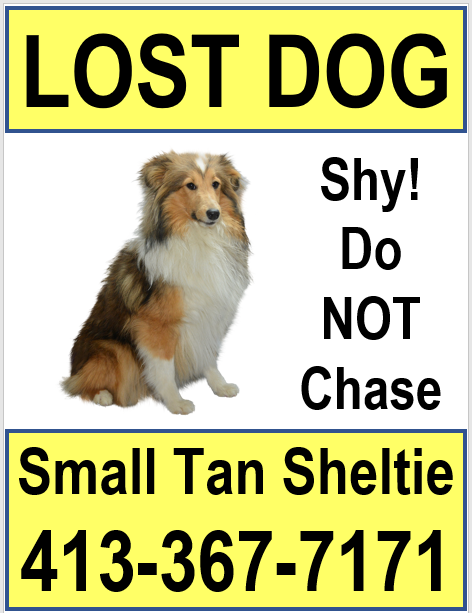 Lost Pet Poster Templates Lost Pet Research And Recovery