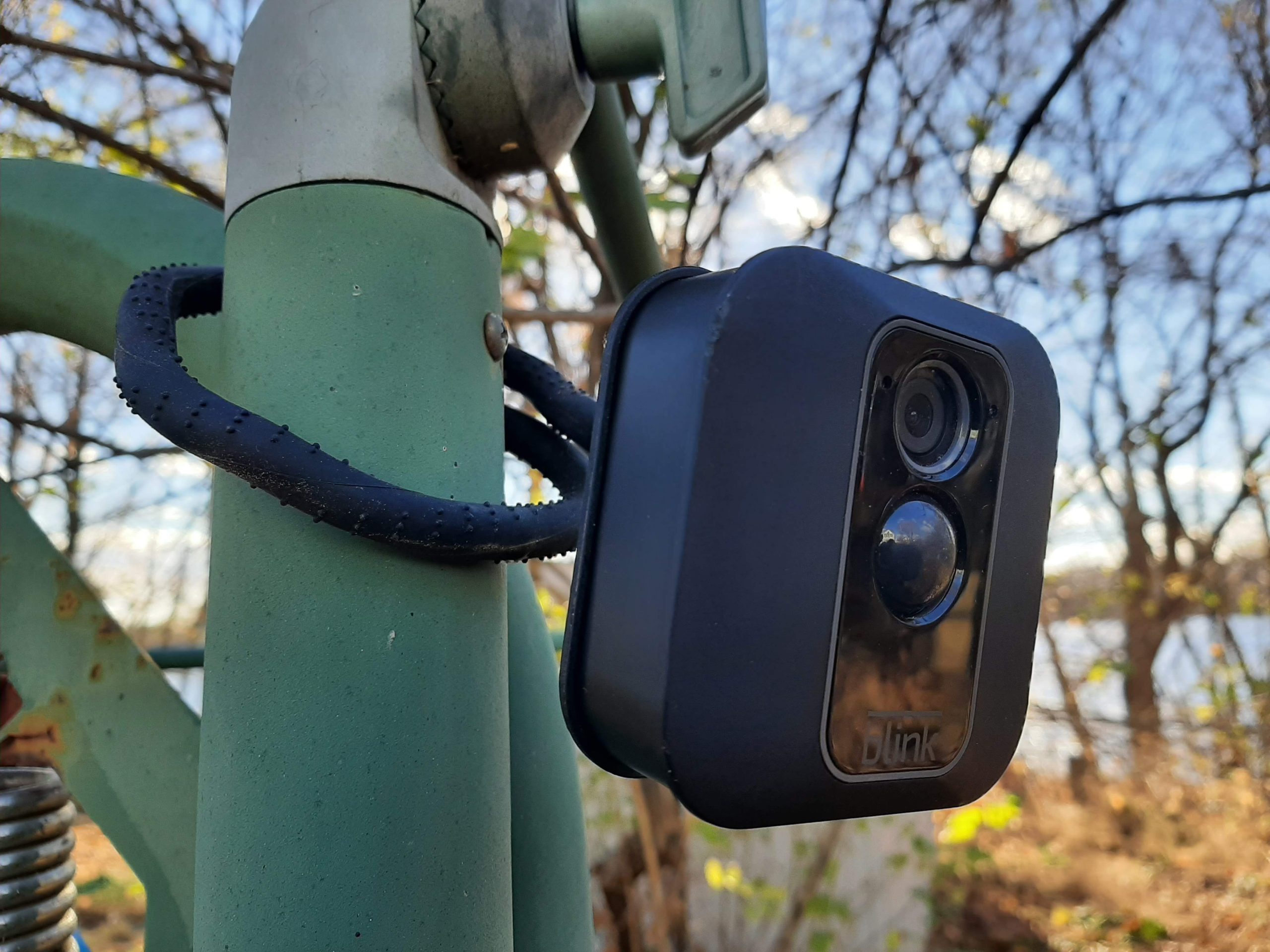 Security Cameras: one of the best tools for finding escaped indoor cats ...