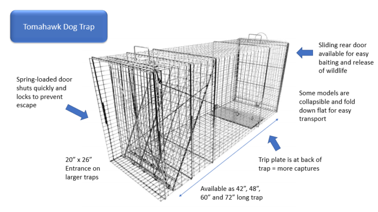 Best Humane Dog Traps - Lost Pet Research and Recovery